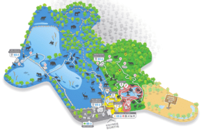 Parc de Sainte-Croix : Guide de visite - Tarifs et Horaires - Instinct ...