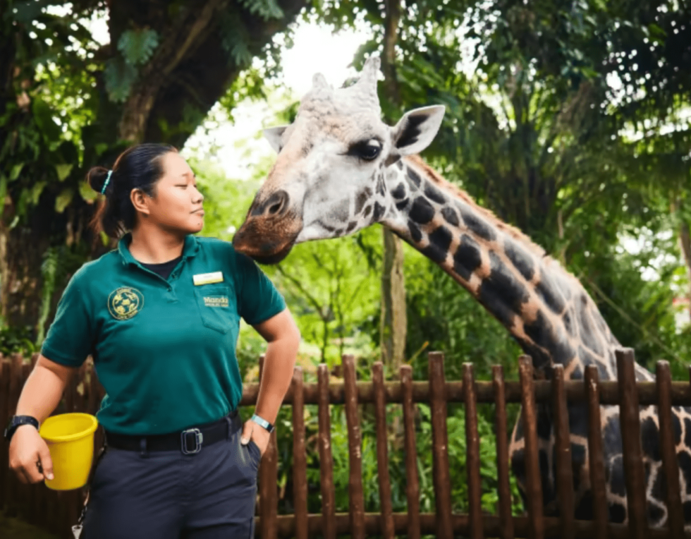 Soigneur animalier : description du métier - Instinct Animal